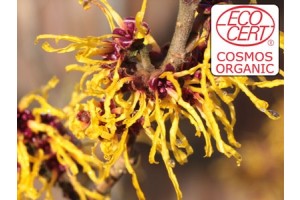 Extracto líquido de Hamamelis Ecocert
