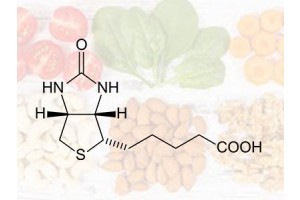 Biotina (Vitamina H)